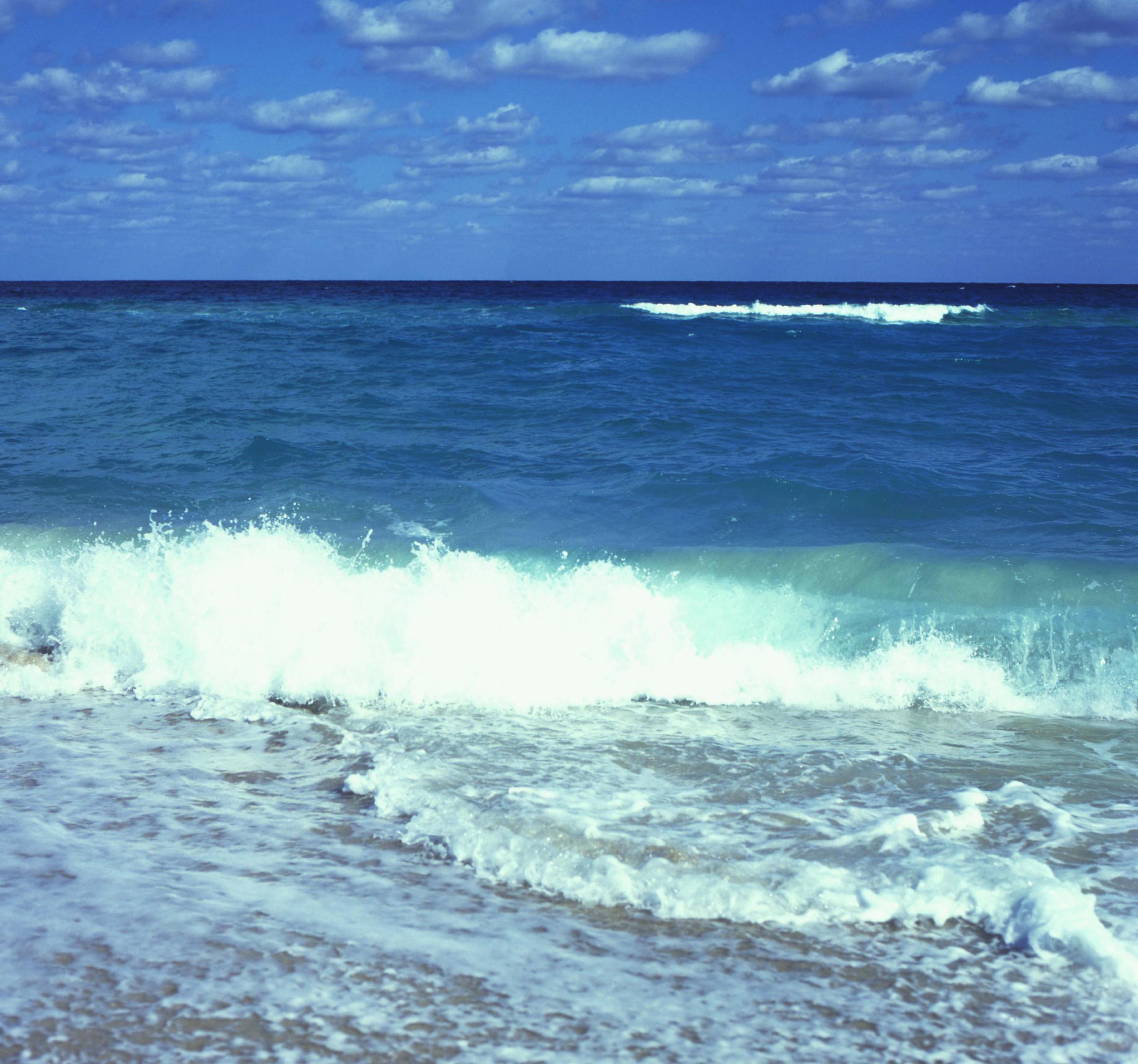 Richard Branson: il saccheggio degli oceani, il nuovo selvaggio west